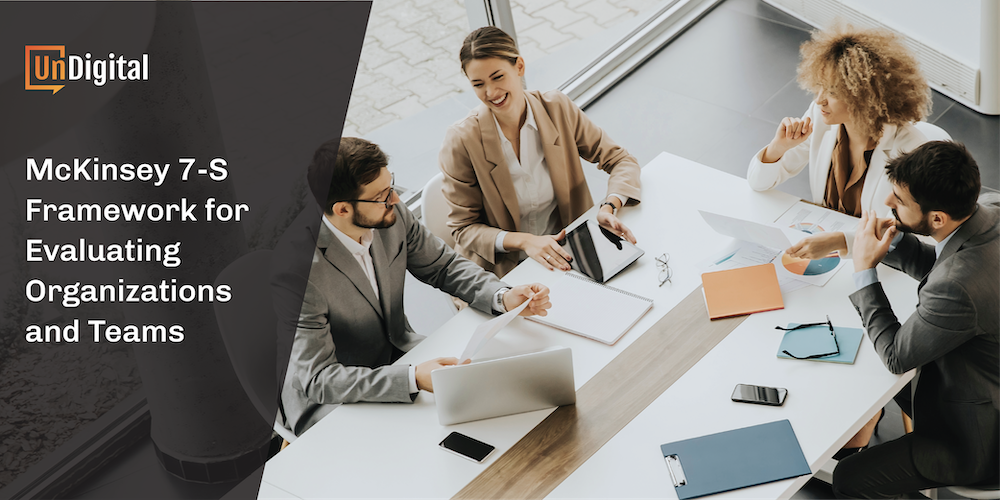 McKinsey 7-S Framework for Evaluating Organizations and Teams